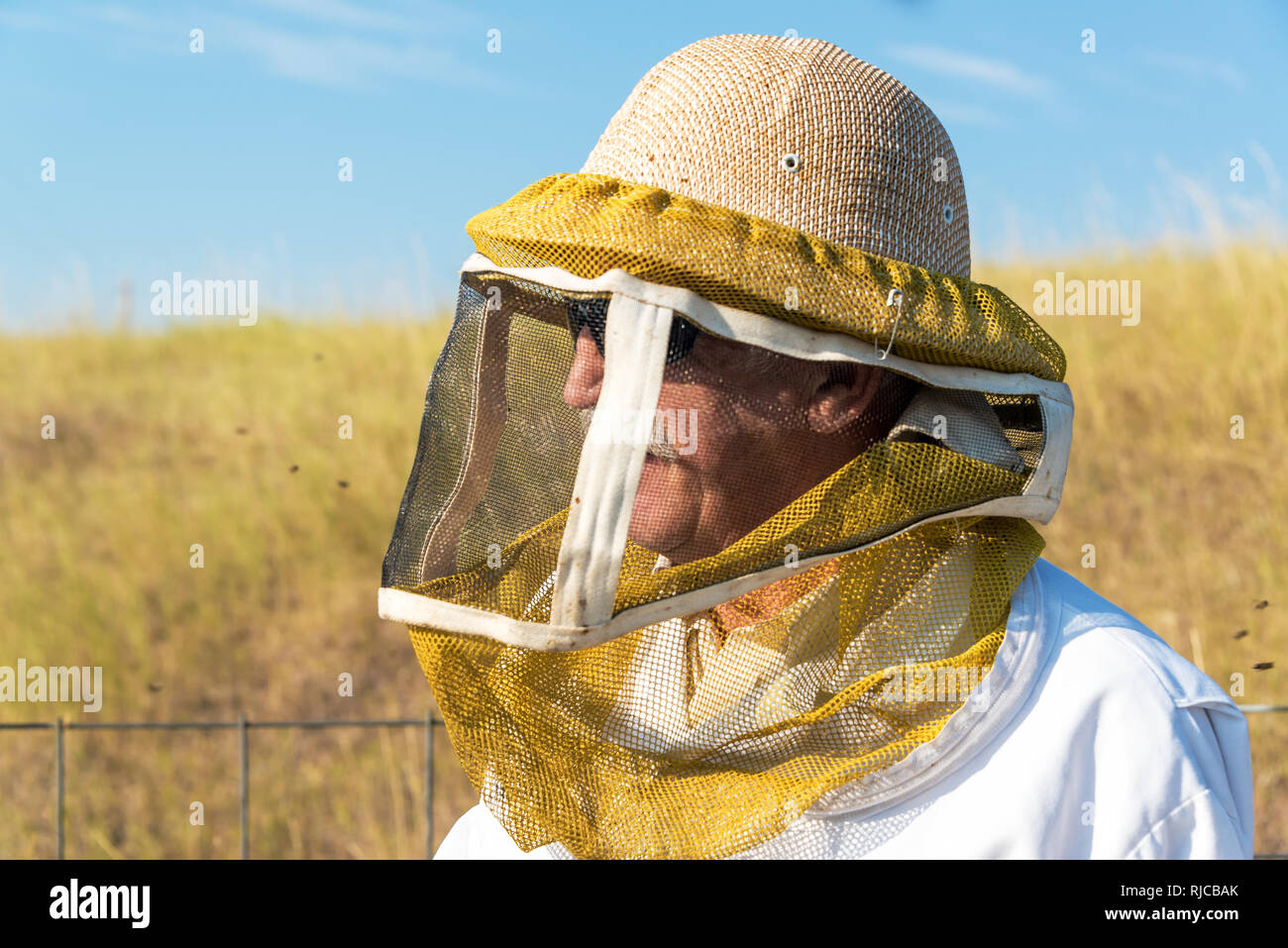 Beekeeper suit hi-res stock photography and images - Alamy