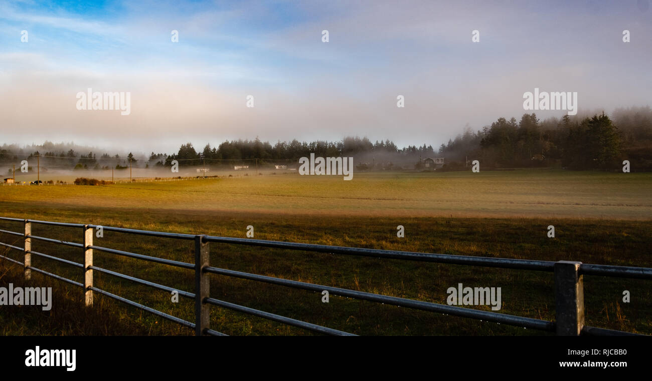 Mist over a field, Canada Stock Photo - Alamy