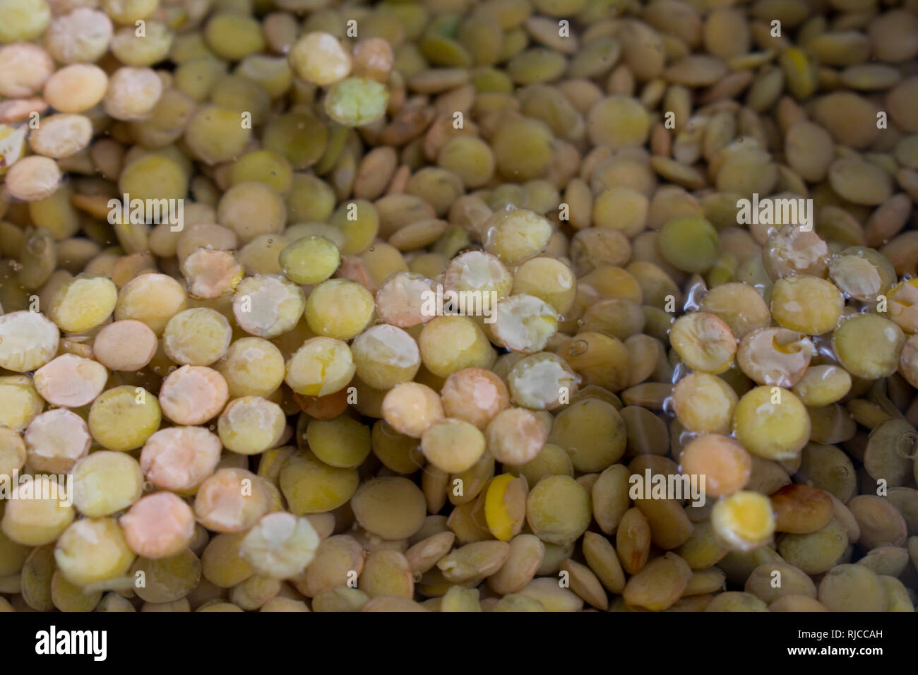 Soaked lentils hi-res stock photography and images - Alamy
