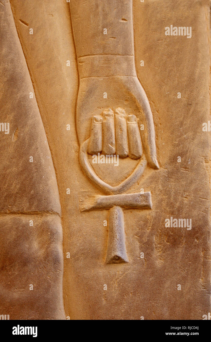 Ancient Symbols Of Eternal Life