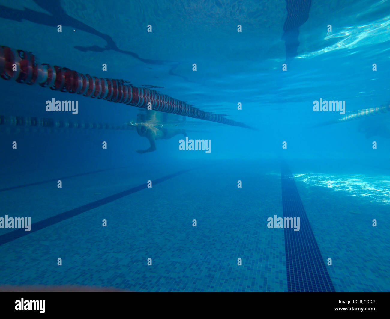 people swimming in pool view from the underwater. sporty lifestyle ...