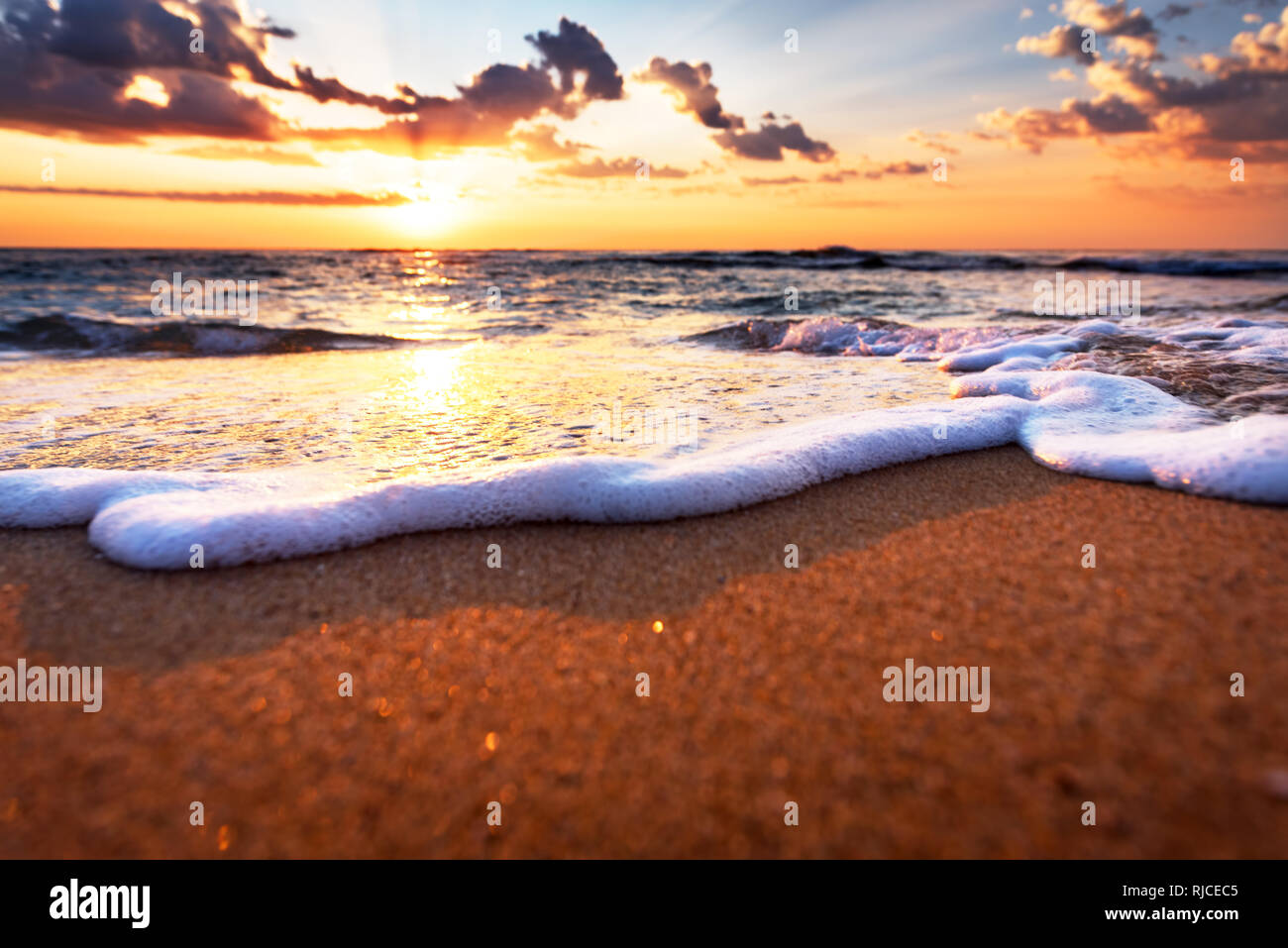 The morning sun at the seaside with a beautiful light Stock Photo - Alamy