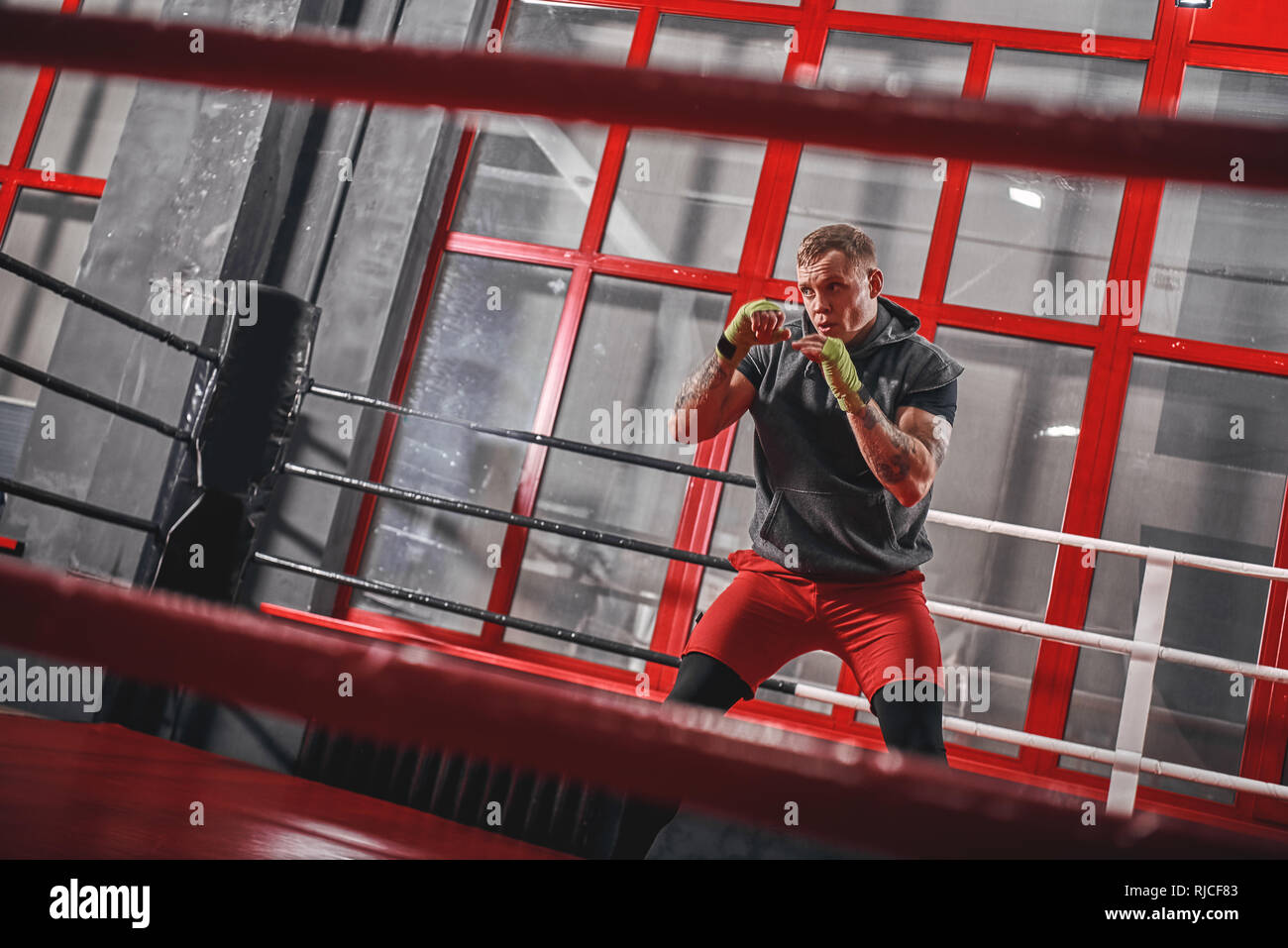 Mma ring hi-res stock photography and images - Alamy