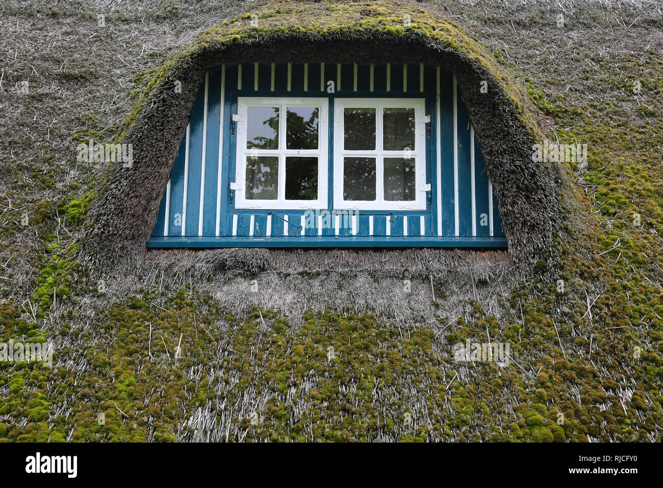 Nice Windows of an thatched Cottage in Northern Germany Stock Photo - Alamy