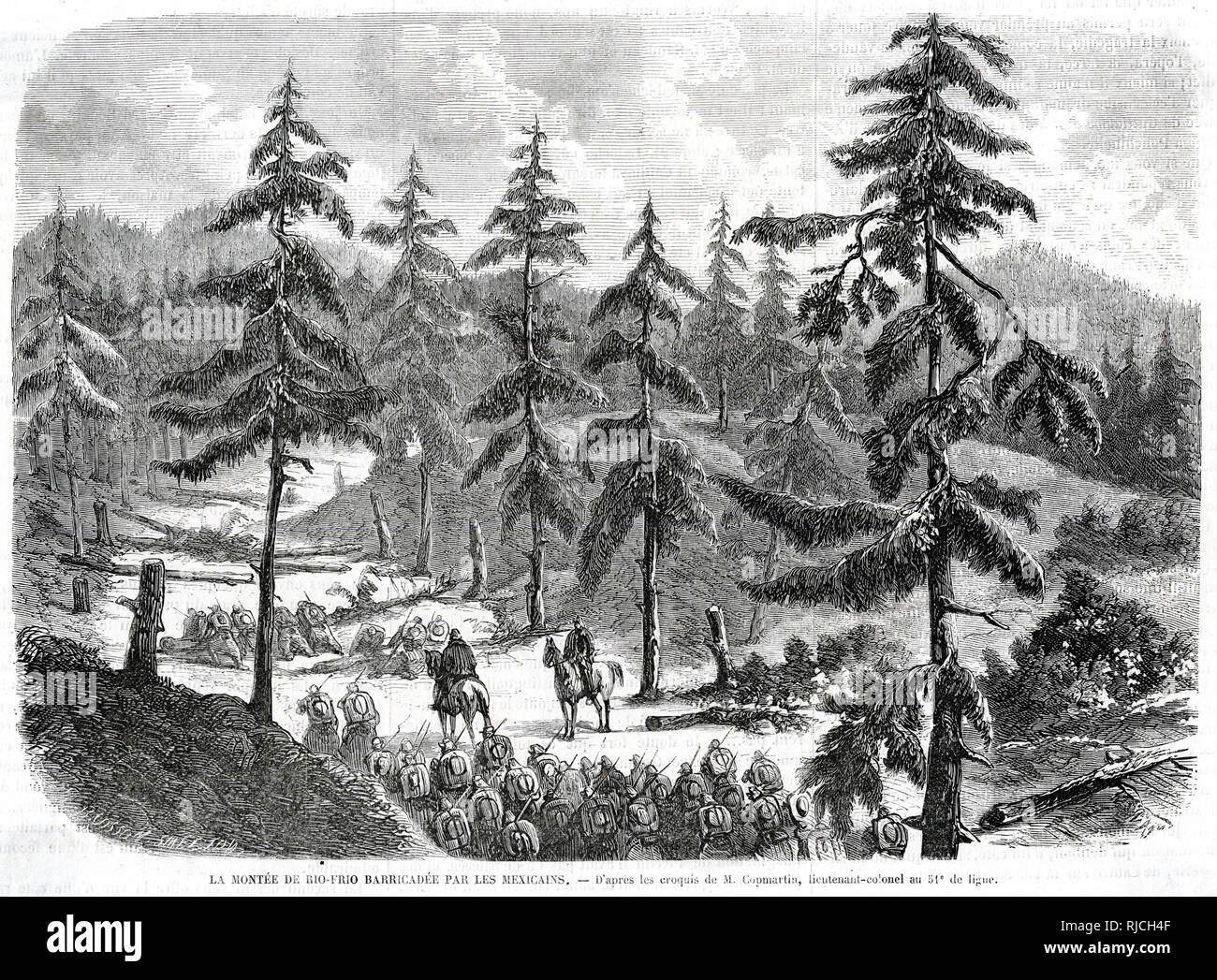 Rio frio mexico hi-res stock photography and images - Alamy