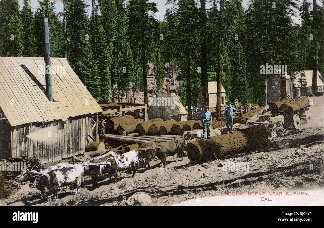 Logging scene hi-res stock photography and images - Alamy