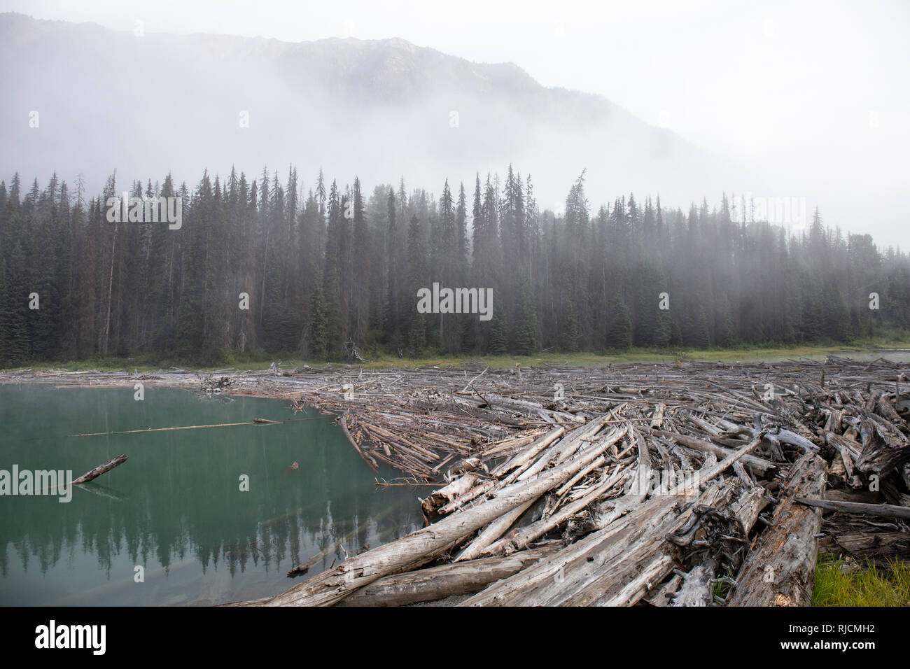 Duffey Lake Provincial Park High Resolution Stock Photography and ...