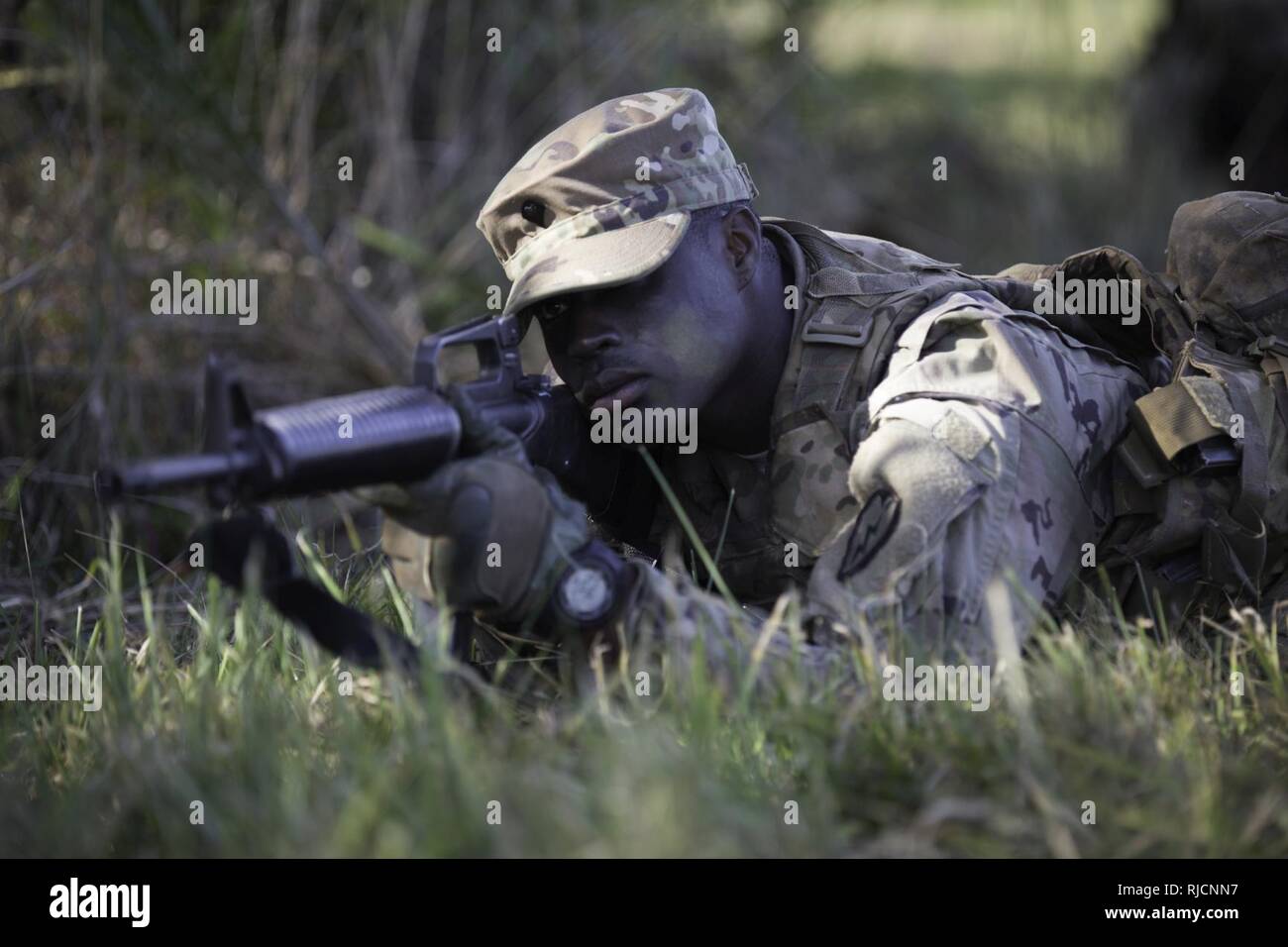 76th infantry division hi-res stock photography and images - Alamy