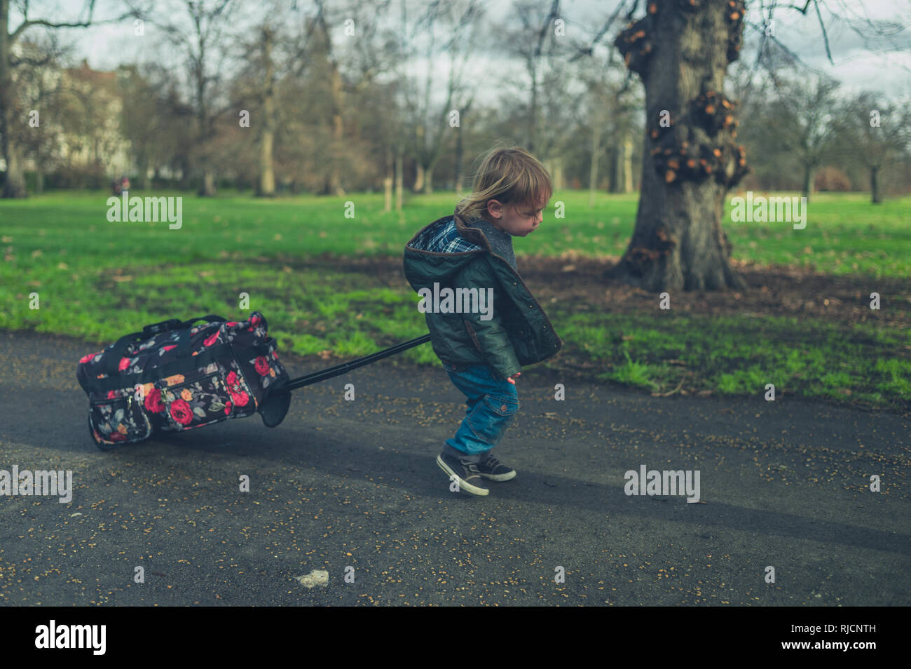 A little toddler is pulling a suitcase in the park Stock Photo - Alamy