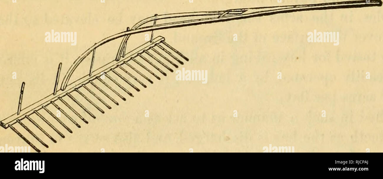 Rake types hi-res stock photography and images - Alamy
