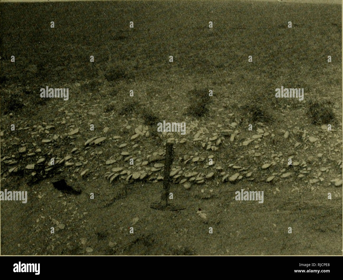 Clay matrix hi-res stock photography and images - Alamy