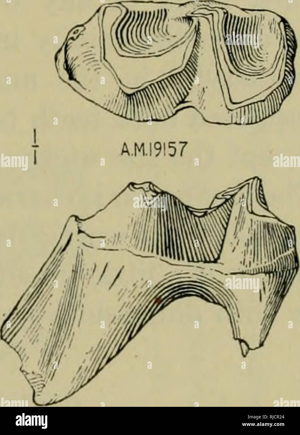 Walter w granger hi-res stock photography and images - Alamy