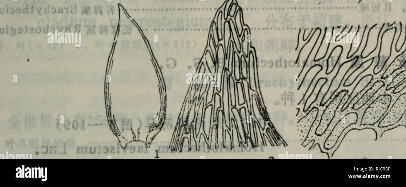 M 3a1 hi-res stock photography and images - Alamy