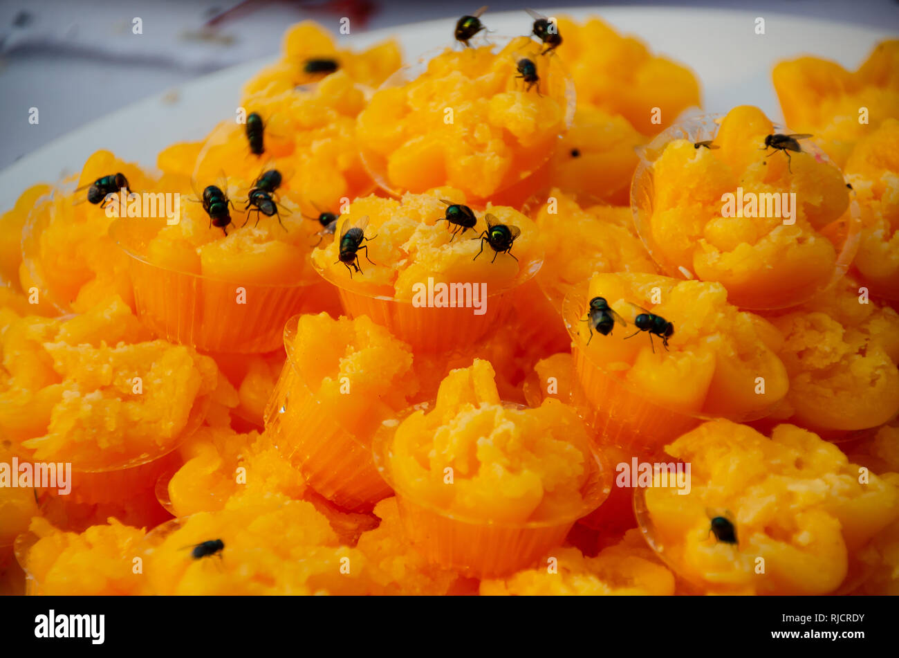 dirty fly on food carrier insect Stock Photo - Alamy