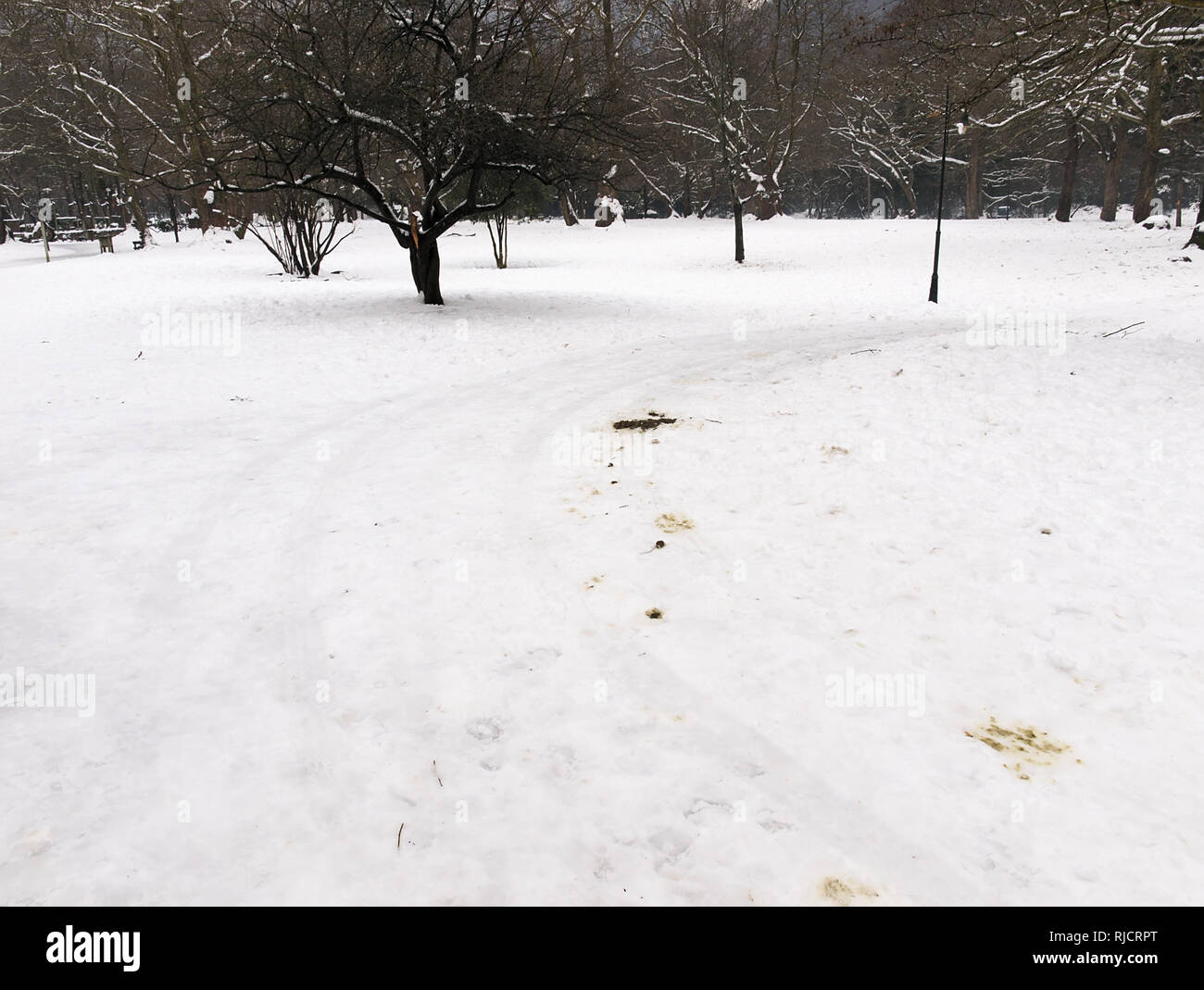 Snow covered Agios Nikolaos (Saint Nicholas) park with benches and path ...