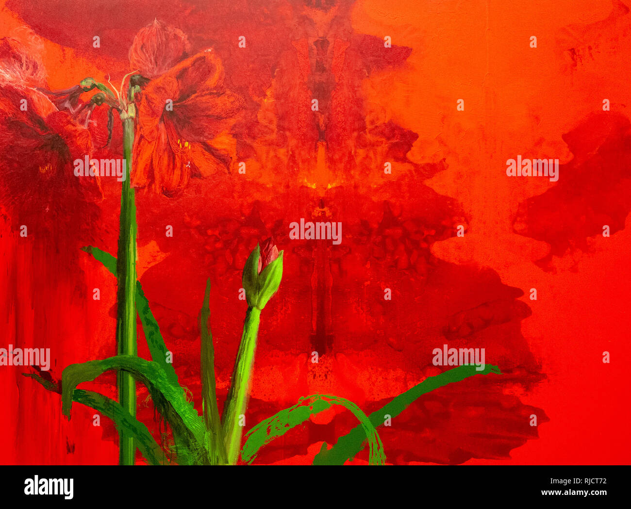 'amaryllis' by Erik Andriesse Stock Photo - Alamy