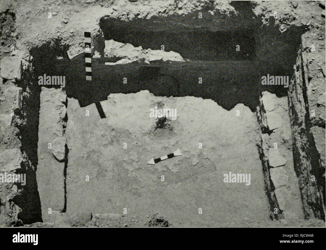 Juniper poles hi-res stock photography and images - Alamy