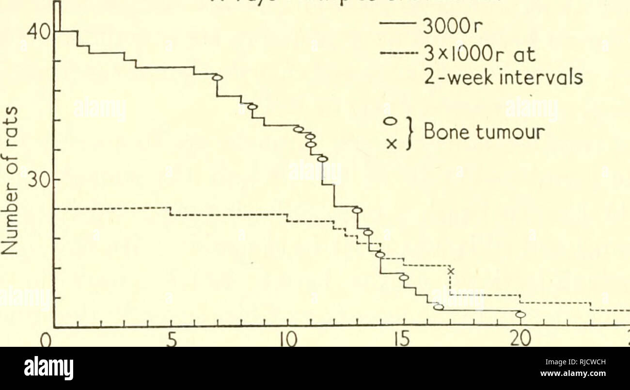 . Cellular basis and aetiology of late somatic effects of ionization ...