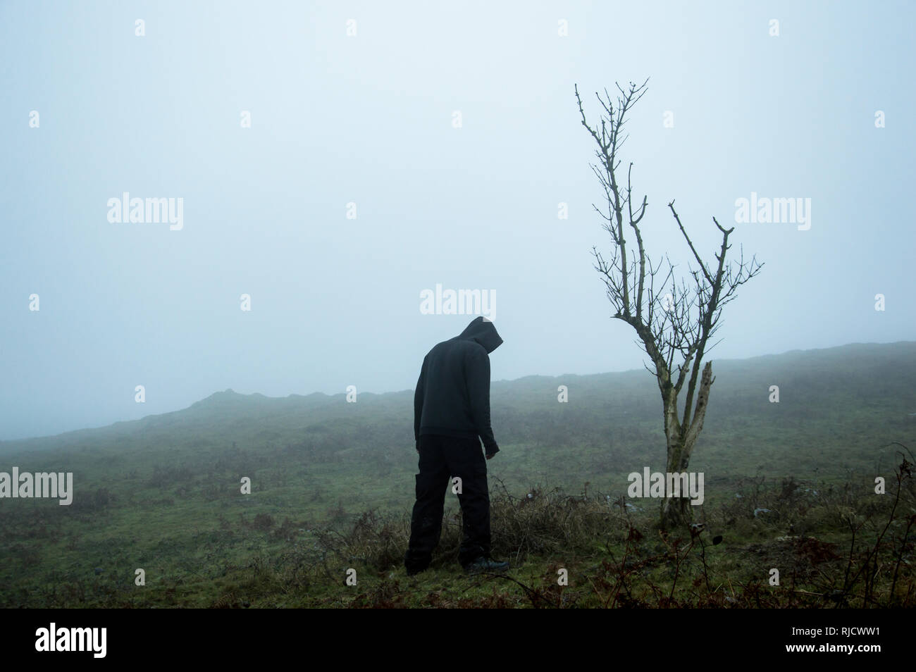 Spooky tree and figure hi-res stock photography and images - Alamy