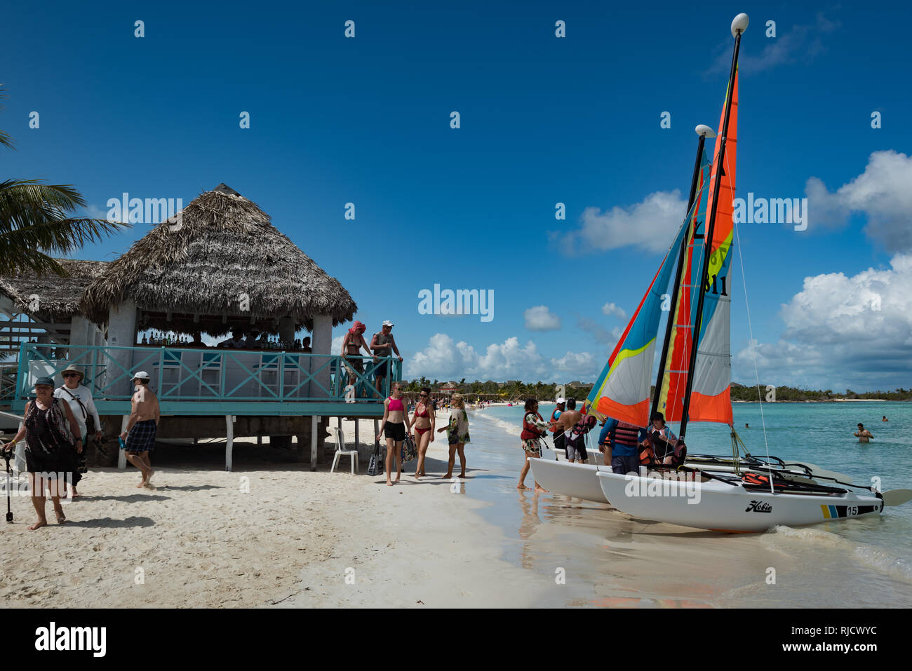 Cuban Cat and Drinks Hut on Cayo Ensenachos, Cuba Stock Photo - Alamy