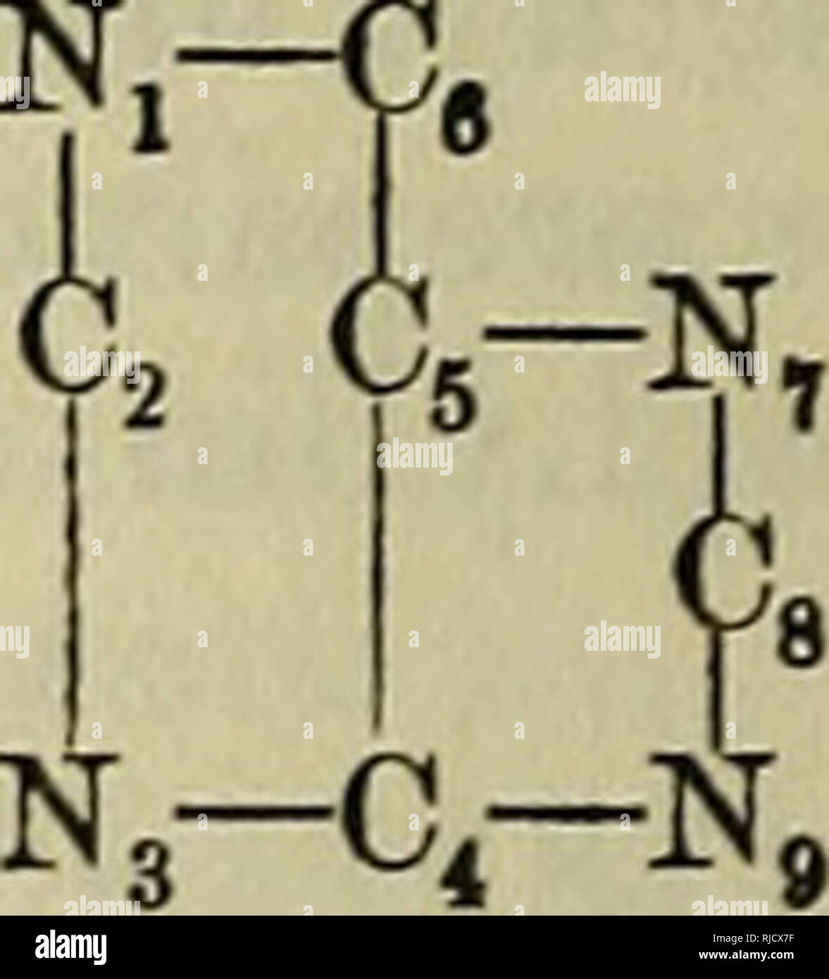 Xanthin hi-res stock photography and images - Alamy