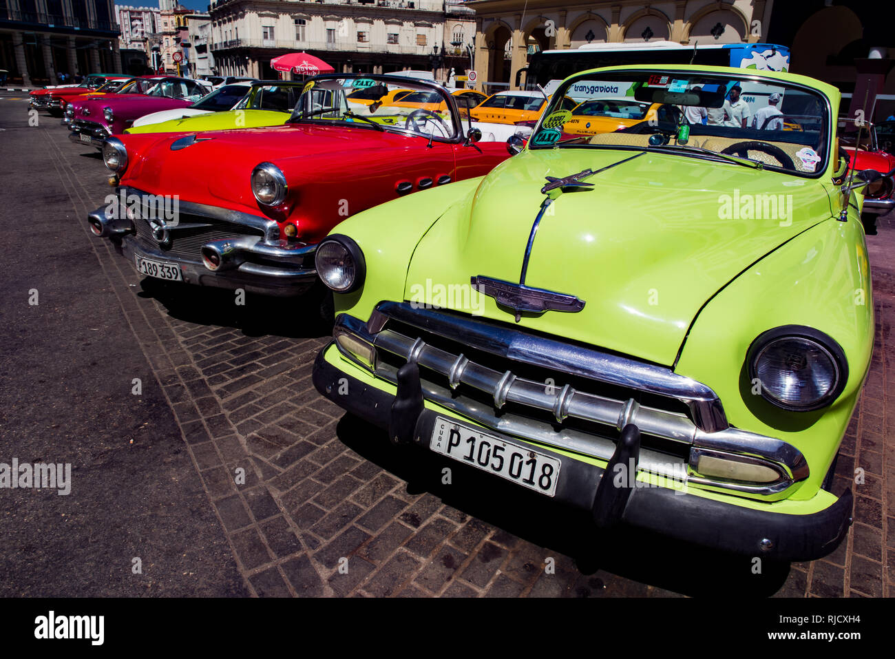 A line of splendid Cuban cars Stock Photo - Alamy
