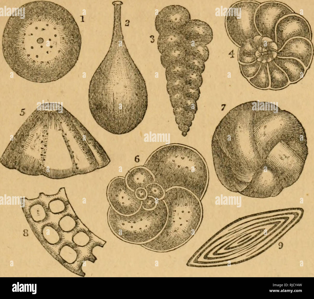 . Chamber's scientific reader : illustrated with wood engravings ...