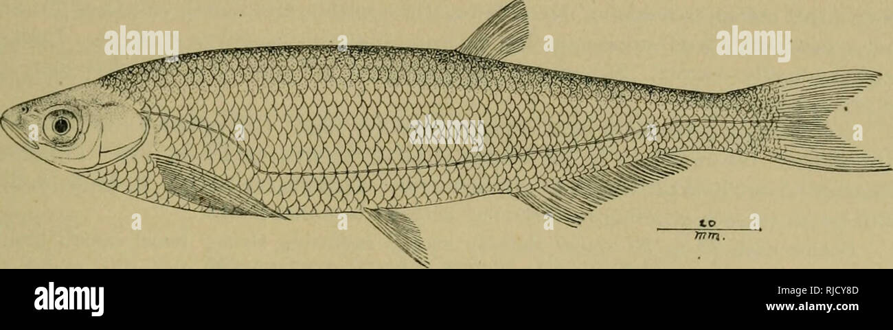 Depth under the keel hi-res stock photography and images - Alamy