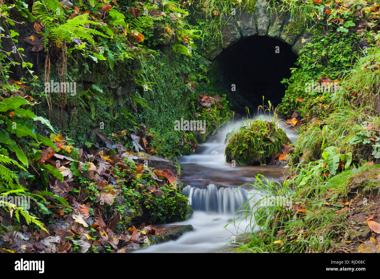 Llanfoist, Abergavenny, Wales, UK Stock Photo - Alamy