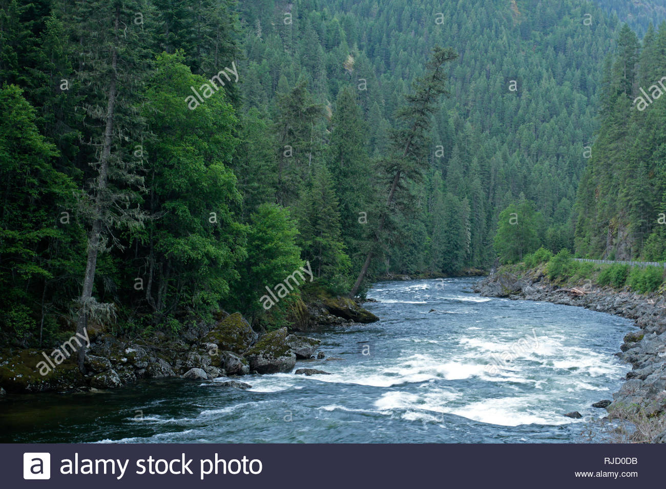 Lochsa River High Resolution Stock Photography and Images - Alamy