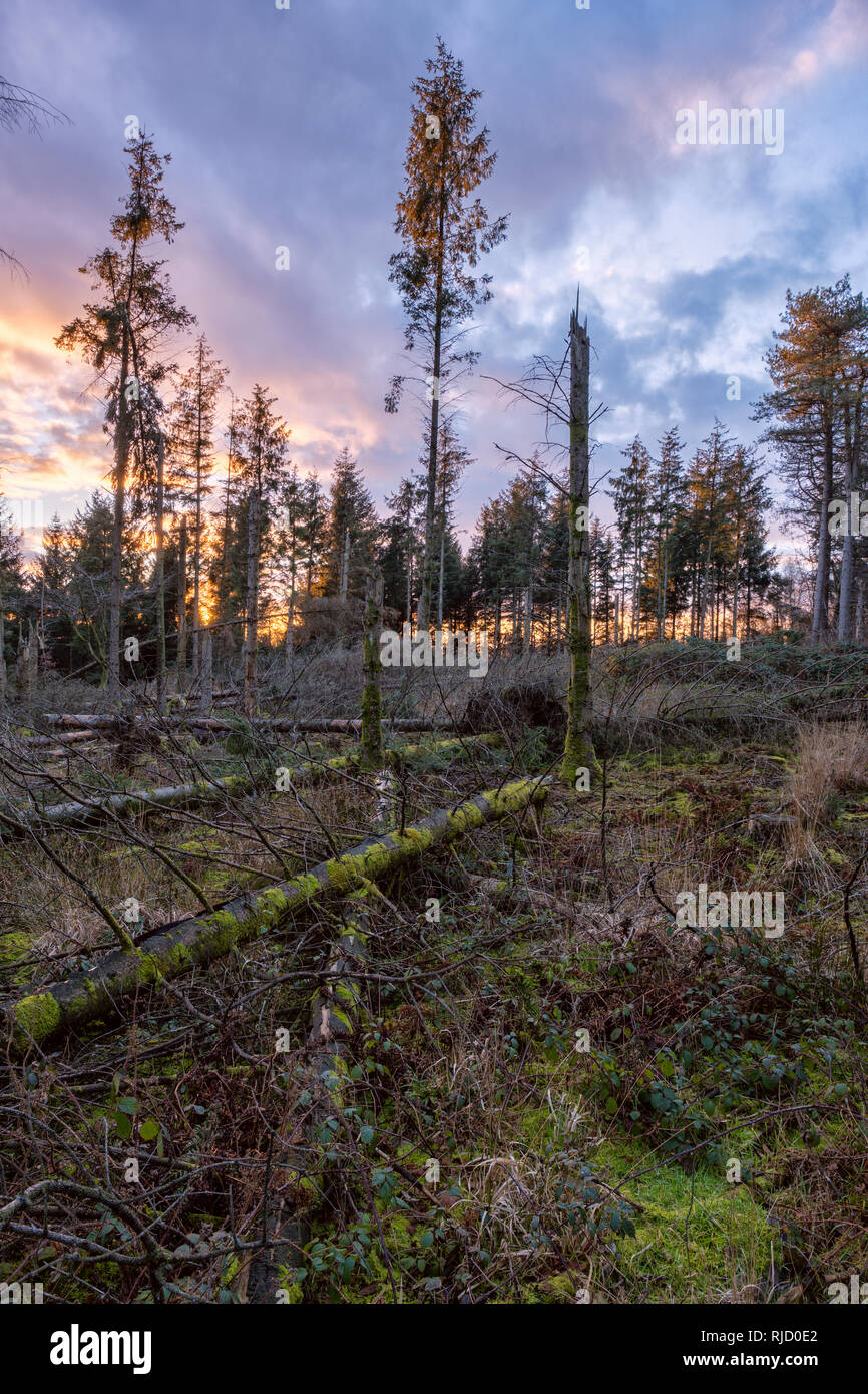 Wind and light hi-res stock photography and images - Alamy