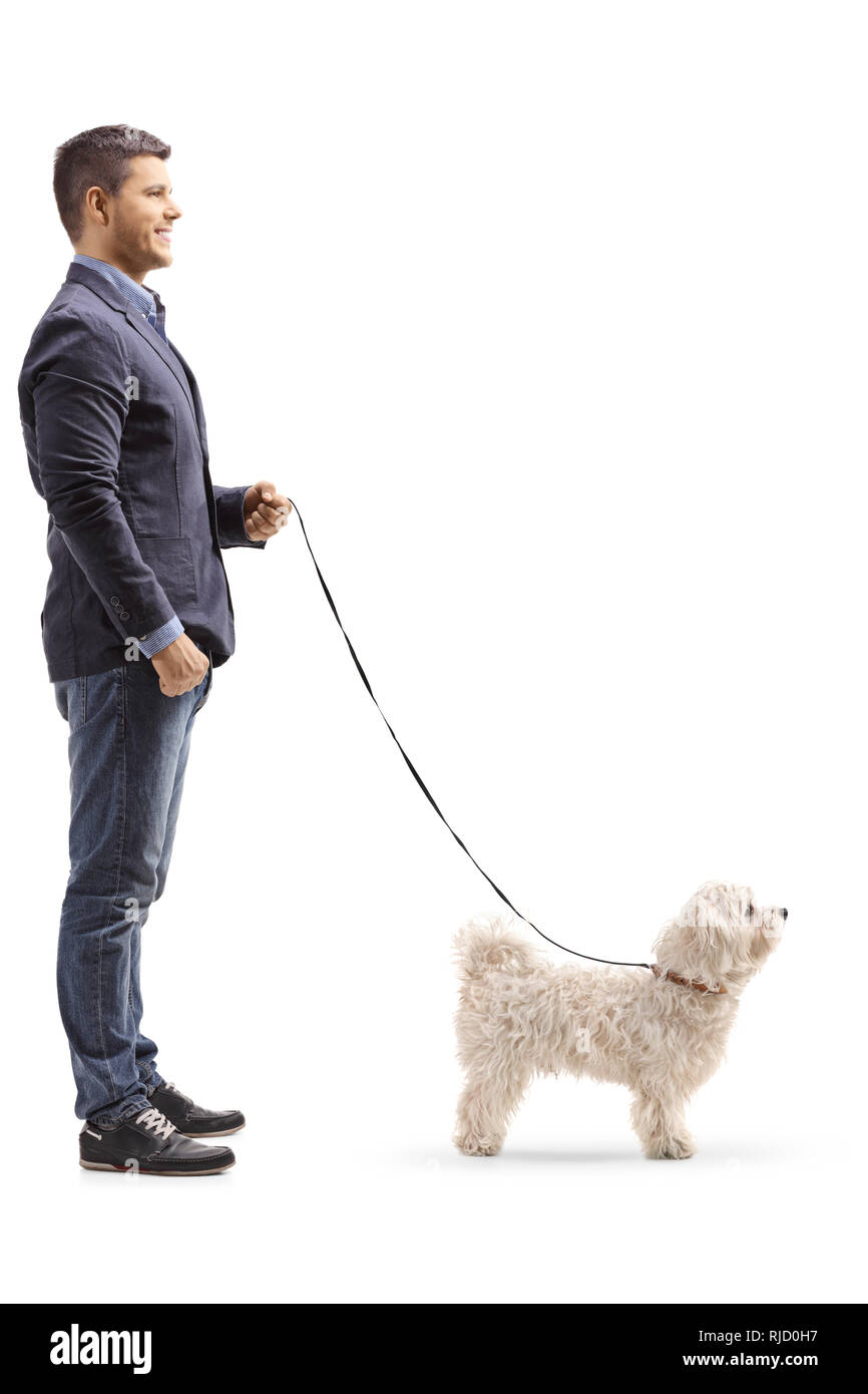 Full length profile shot of a young man standing with a maltese poodle ...