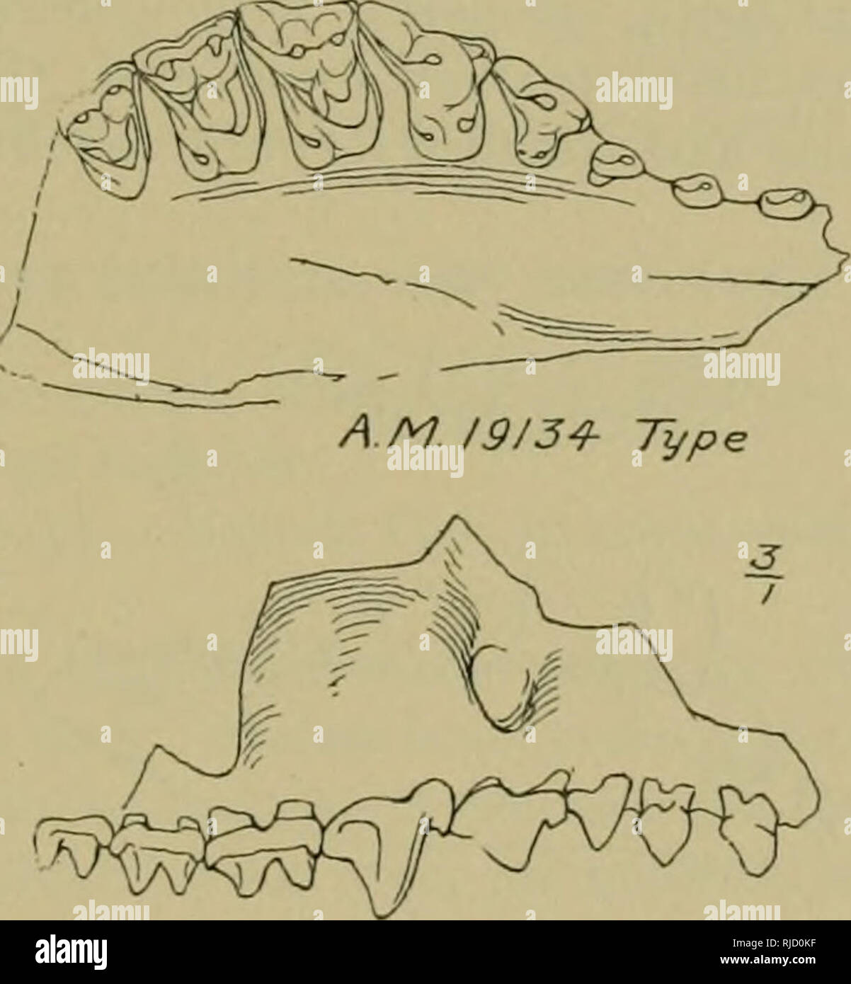 Walter w granger hi-res stock photography and images - Alamy