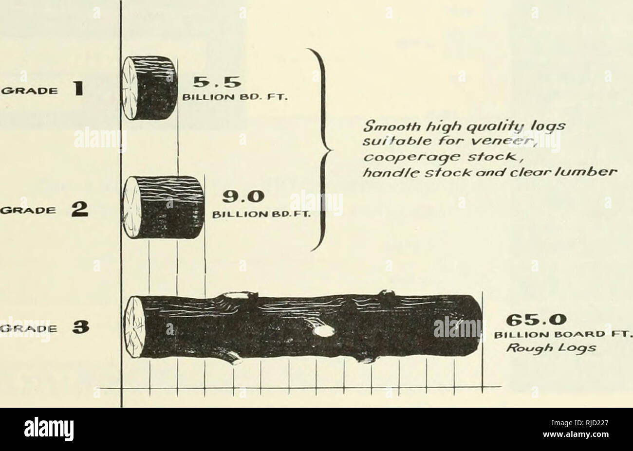 Stave bolts hi-res stock photography and images - Alamy
