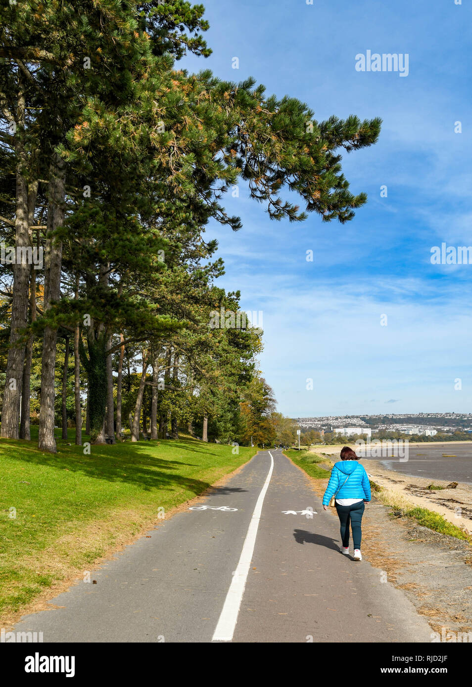Welsh coastal path hi-res stock photography and images - Alamy