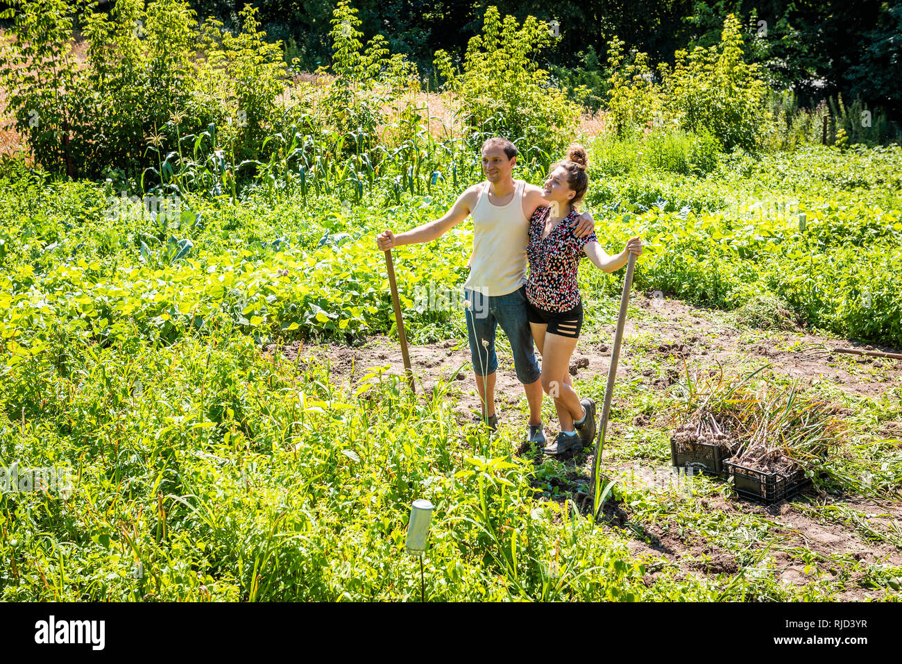 Plants in boxes hi-res stock photography and images - Alamy