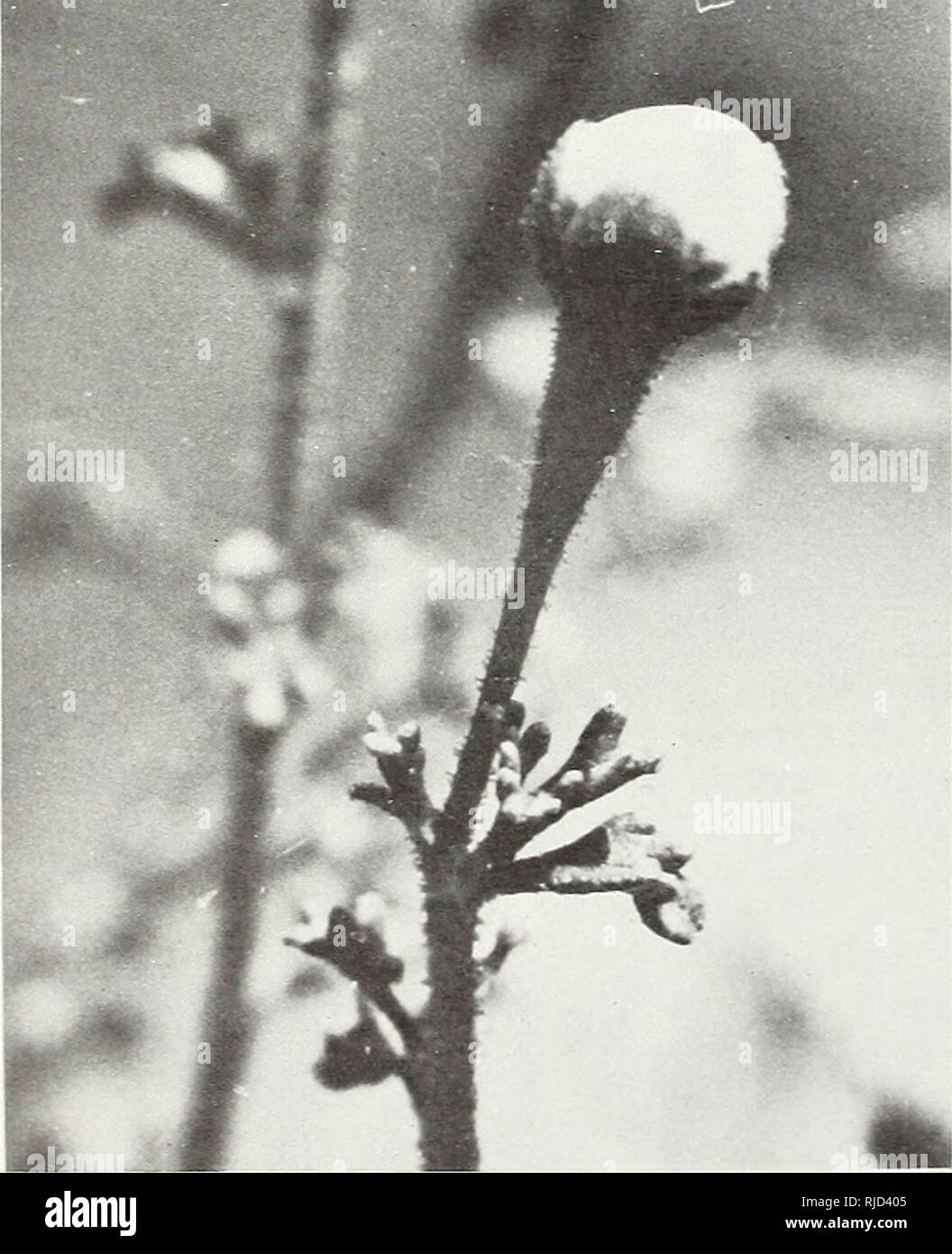 Punctured paper hi-res stock photography and images - Alamy