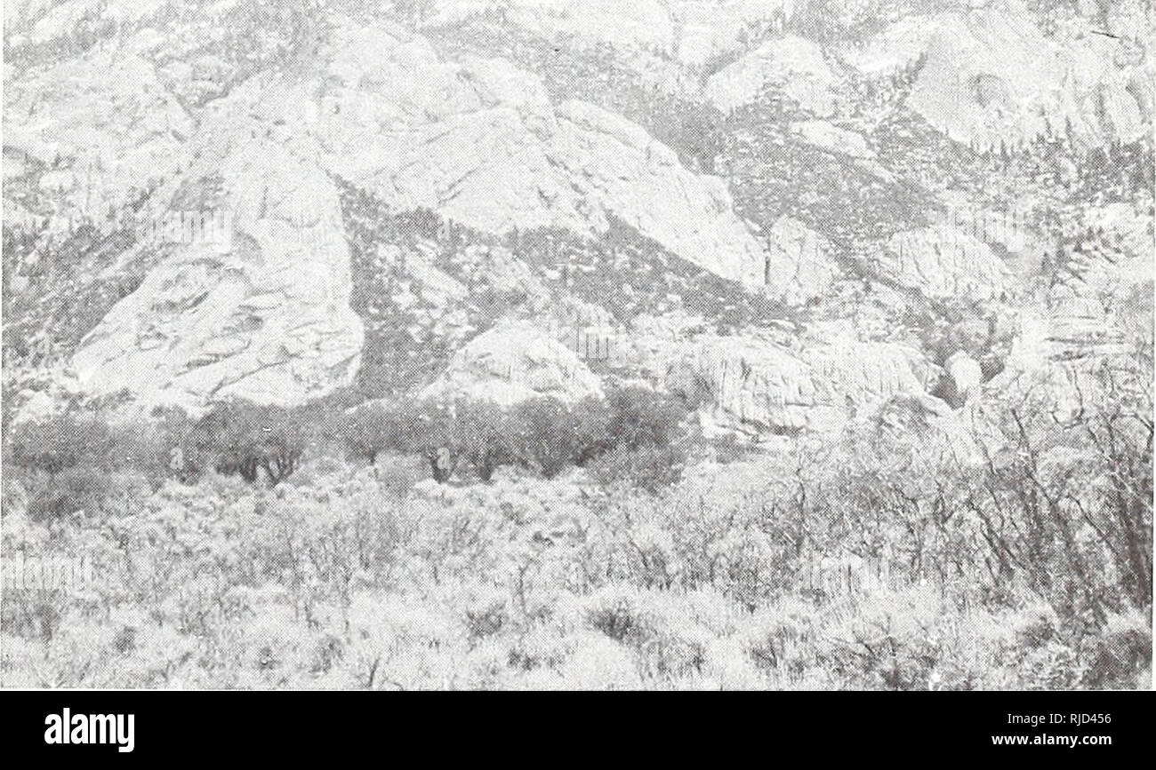 Xeric habitat hi-res stock photography and images - Alamy