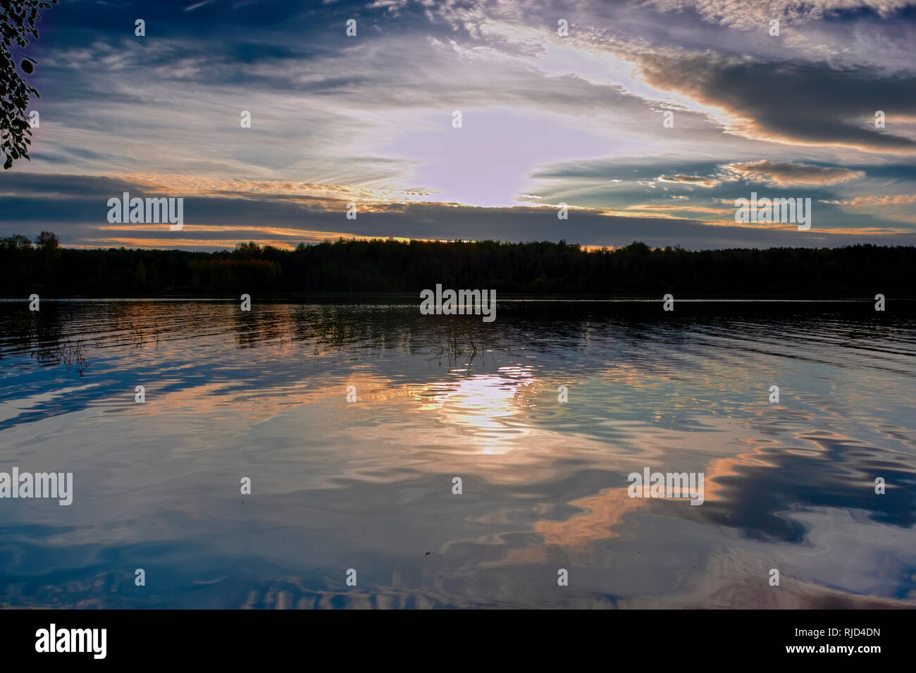 Autumn landscape sunset in the forest by the lake Stock Photo - Alamy