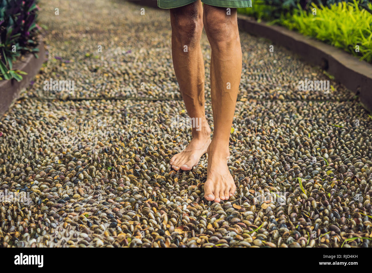 Man Walking On A Textured Cobble Pavement, Reflexology. Pebble stones ...