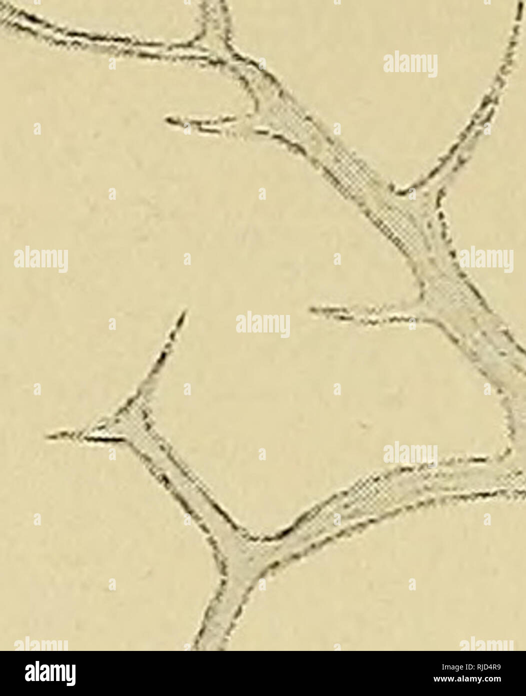 . The cell in development and inheritance. Cells; Cells. 20 GENERAL ...