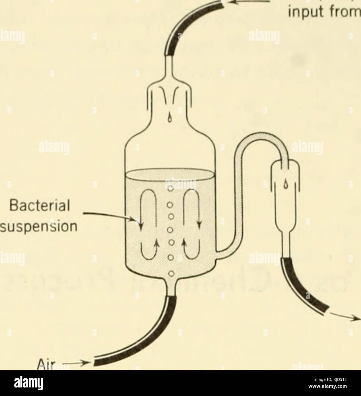 Chemostat hi-res stock photography and images - Alamy