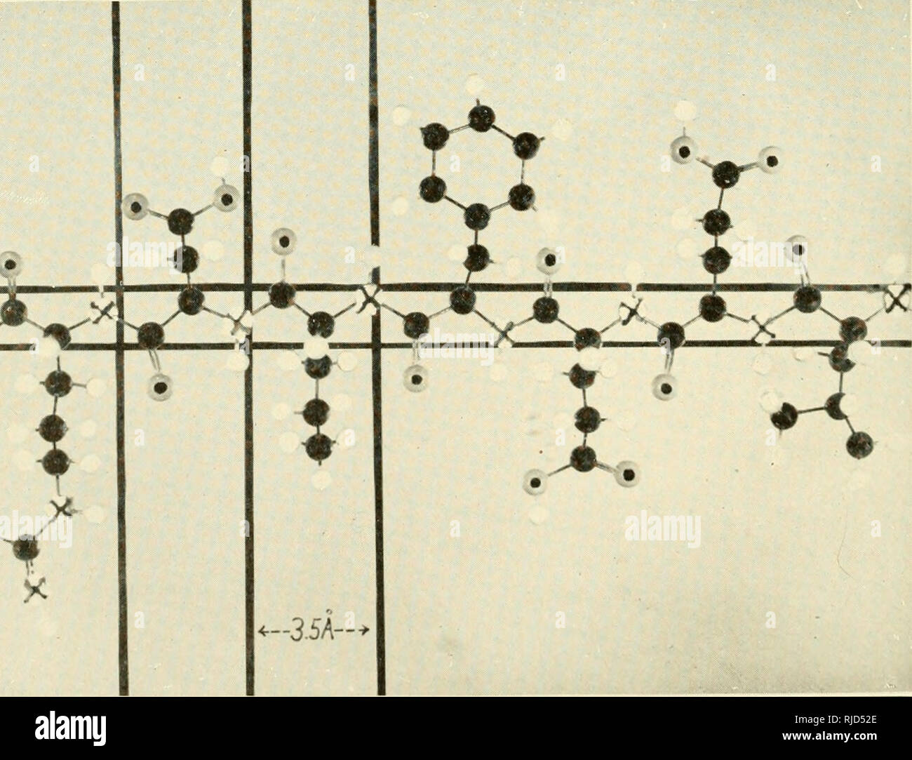 . The cell and protoplasm ... Cells; Protoplasm; Cytology; Cytoplasm ...