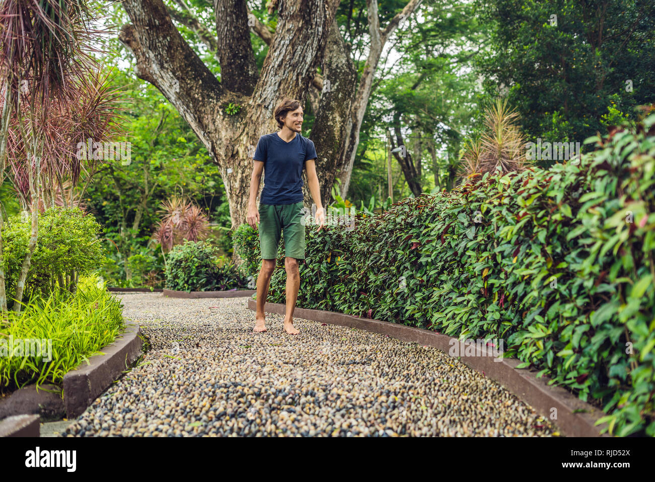 Man Walking On A Textured Cobble Pavement, Reflexology. Pebble stones ...