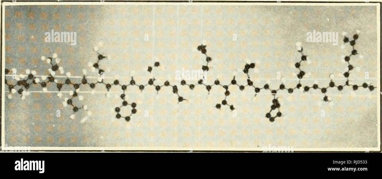 . The cell and protoplasm ... Cells; Protoplasm; Cytology; Cytoplasm ...