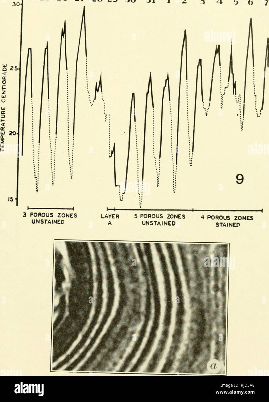 Perforated matrix hi-res stock photography and images - Alamy