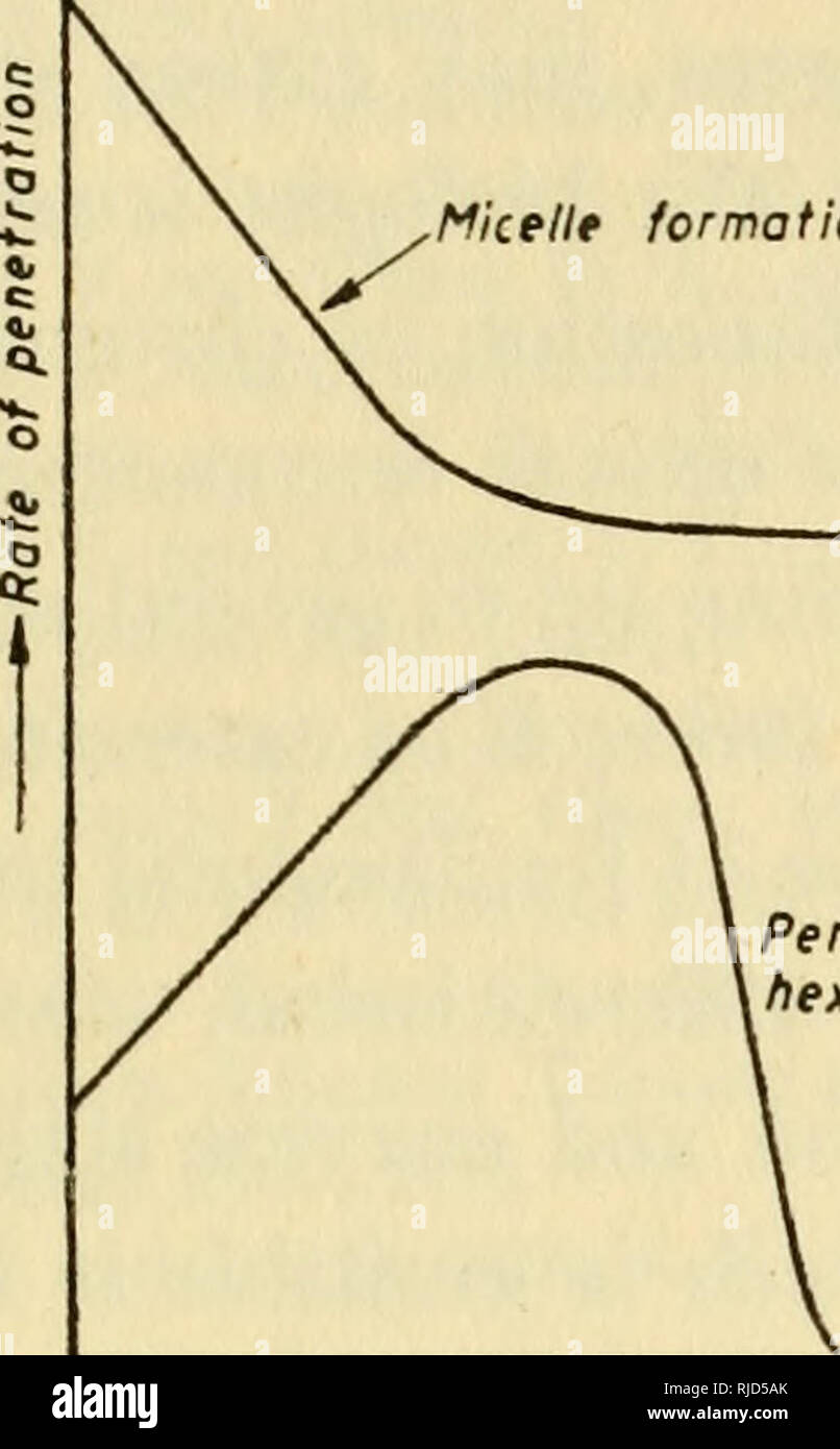 Micelle formation hi-res stock photography and images - Alamy