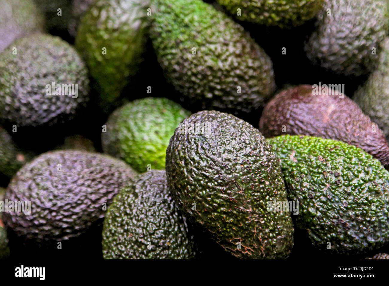 Bunch of avocados hi-res stock photography and images - Alamy