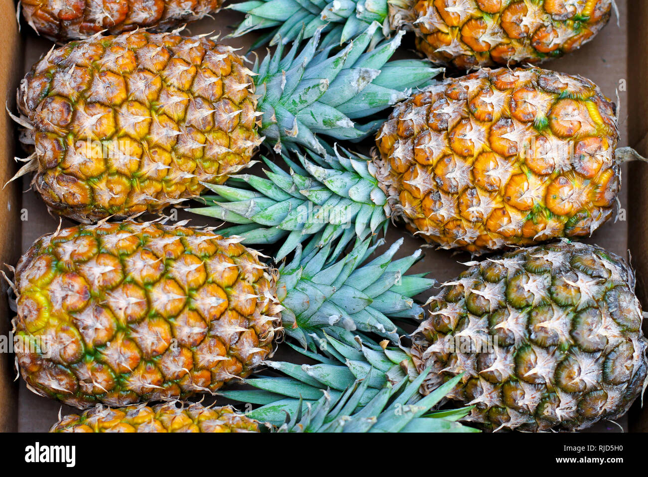 Bunch of pineapples hi-res stock photography and images - Alamy