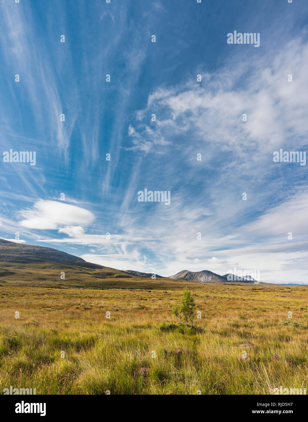 View across bogland towards the Derryveagh Mountains, including the ...